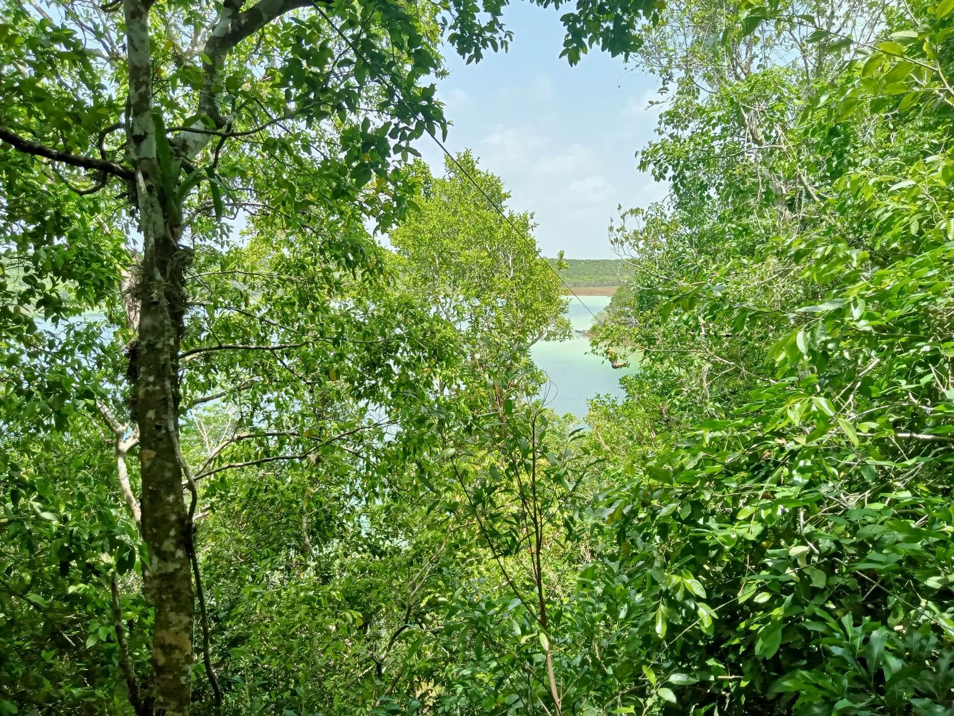 Tour Cobá Punta Laguna - MAYANWAY TOURS