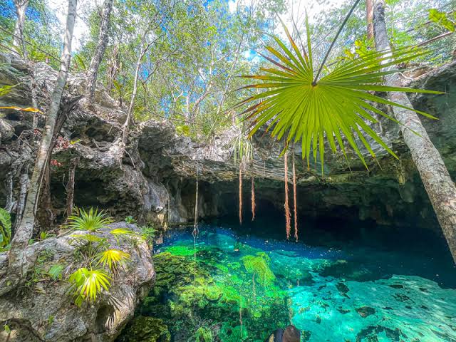 Tour Turtles Swim & Cenote - MAYANWAY TOURS