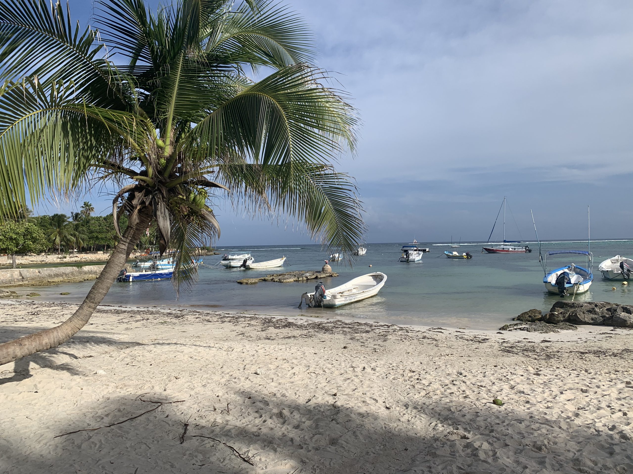 Tour Tulum- Tulum Ruins, Cenote & Turtle Swim - MAYANWAY TOURS